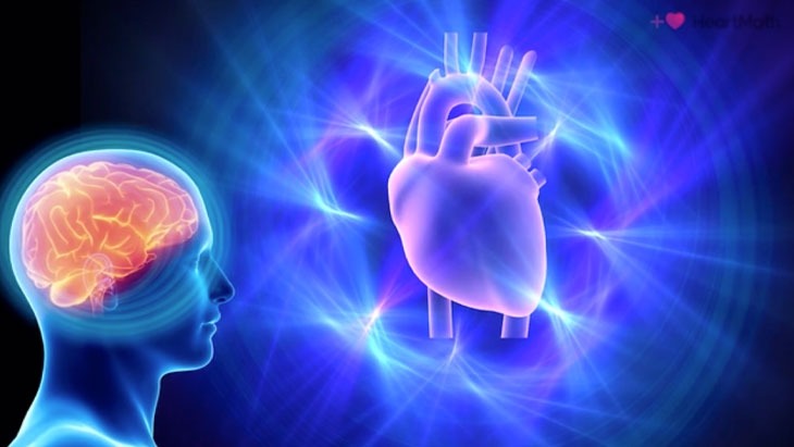 Why is the heart brain connection so important? - Aura Photography ... Why is the heart brain connection so important? - Aura Photography ...